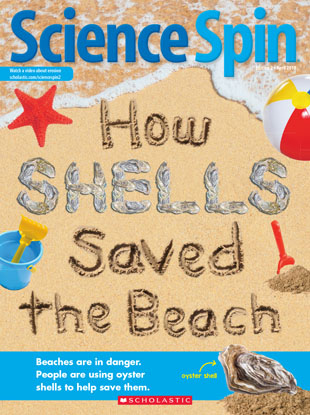 How Shells Saved the Beach - April 2018