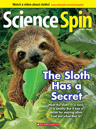 The Sloth Has a Secret - April 2021