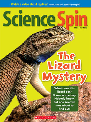 The Lizard Mystery - February 2022