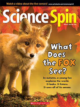 What Does the Fox See? - Nov/Dec 2021