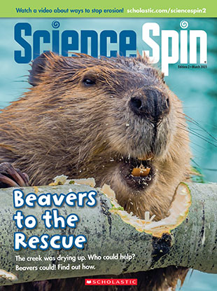 Beavers to the Rescue - March 2023