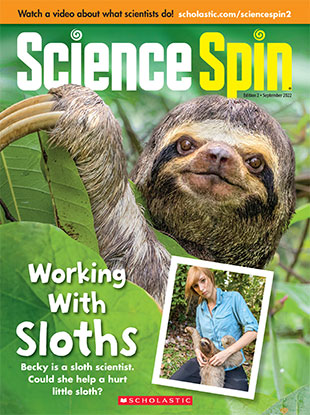 Working With Sloths - September 2022