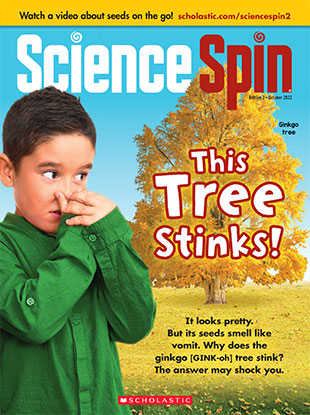 This Tree Stinks! - October 2022