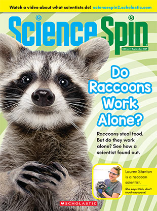 Do Raccoons Work Alone? - September 2024